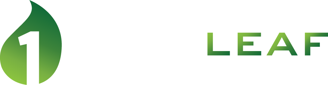 1 Leaf